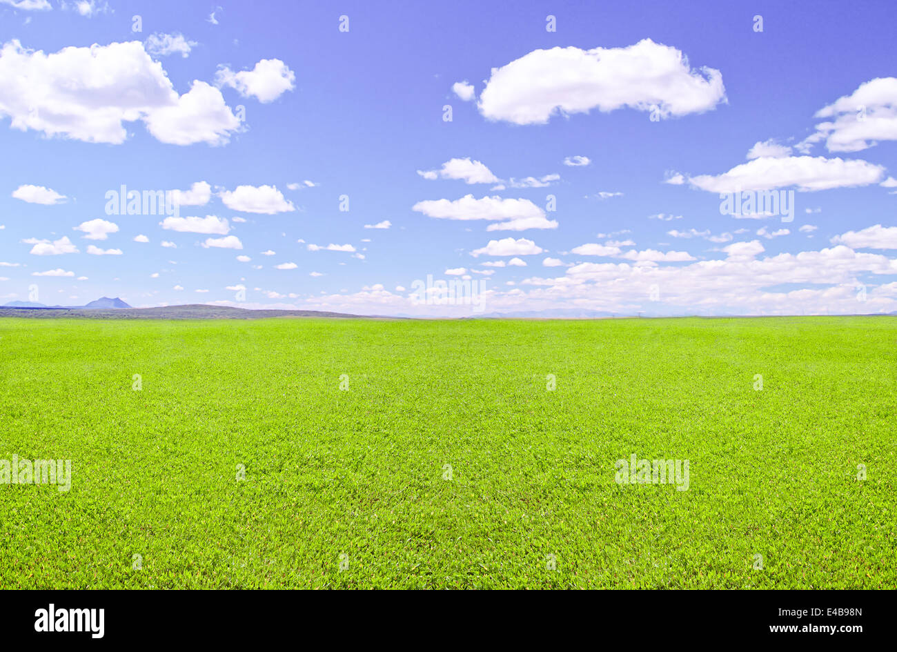 Sports field layout hi-res stock photography and images - Alamy