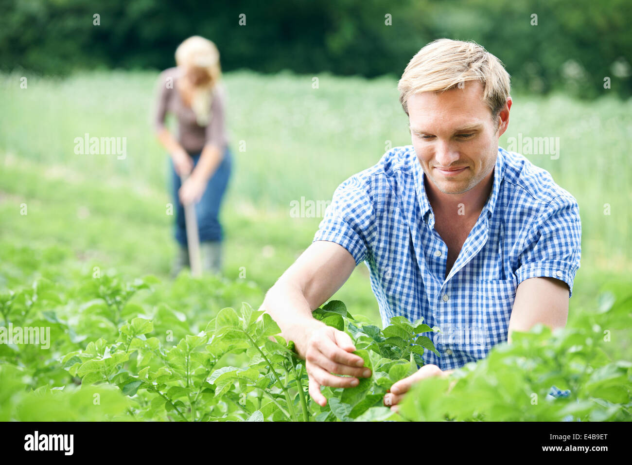 Farming couple hi-res stock photography and images - Alamy