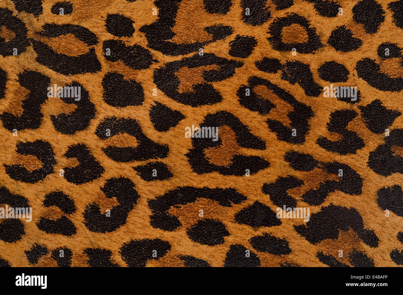 Lepord skin hi-res stock photography and images - Alamy
