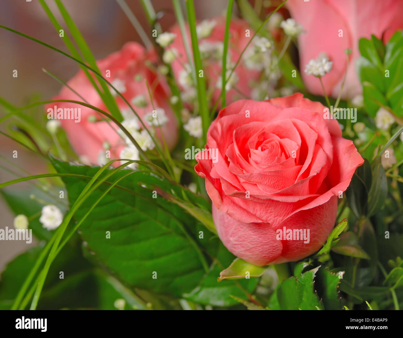 bouquet of roses Stock Photo - Alamy