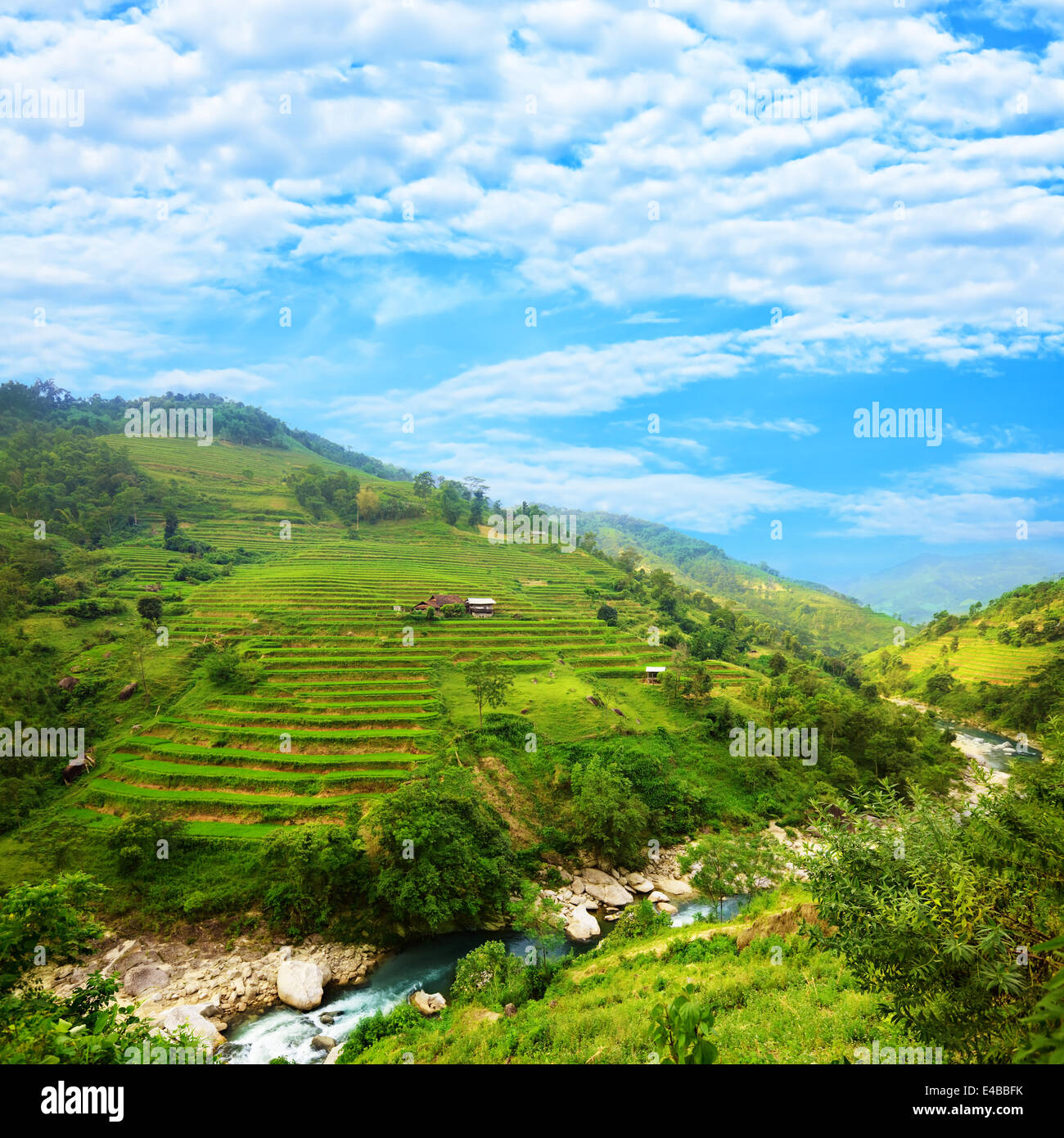 Rice field terraces Stock Photo - Alamy