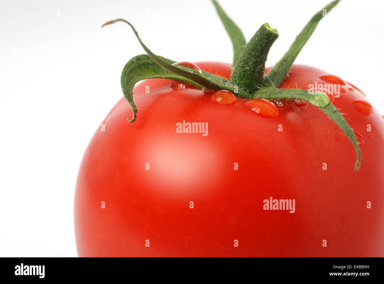 Tomato photo hi-res stock photography and images - Alamy