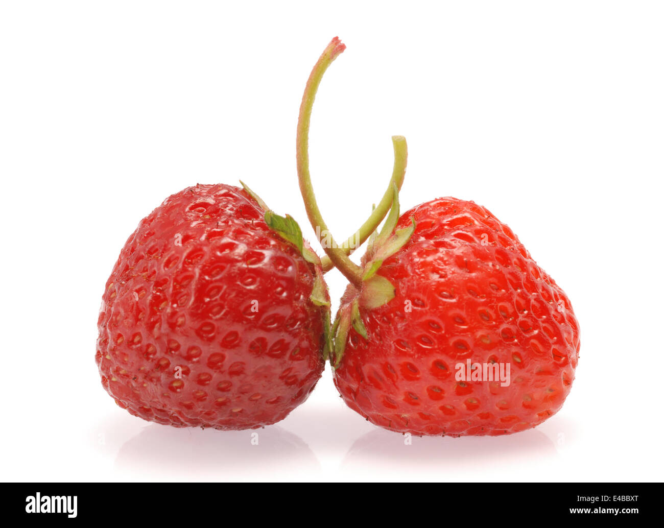 Foreground two Cut Out Stock Images & Pictures - Alamy