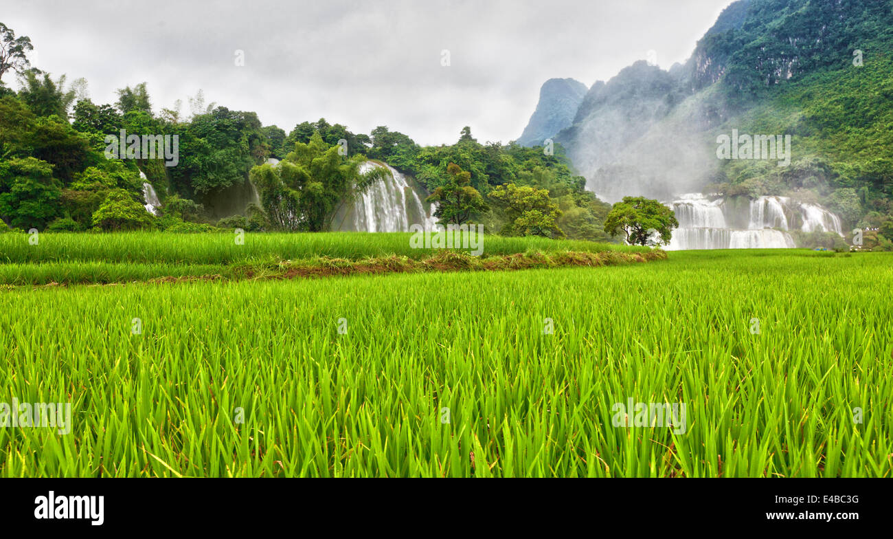 Vietnam paddy field waterfall hi-res stock photography and images - Alamy