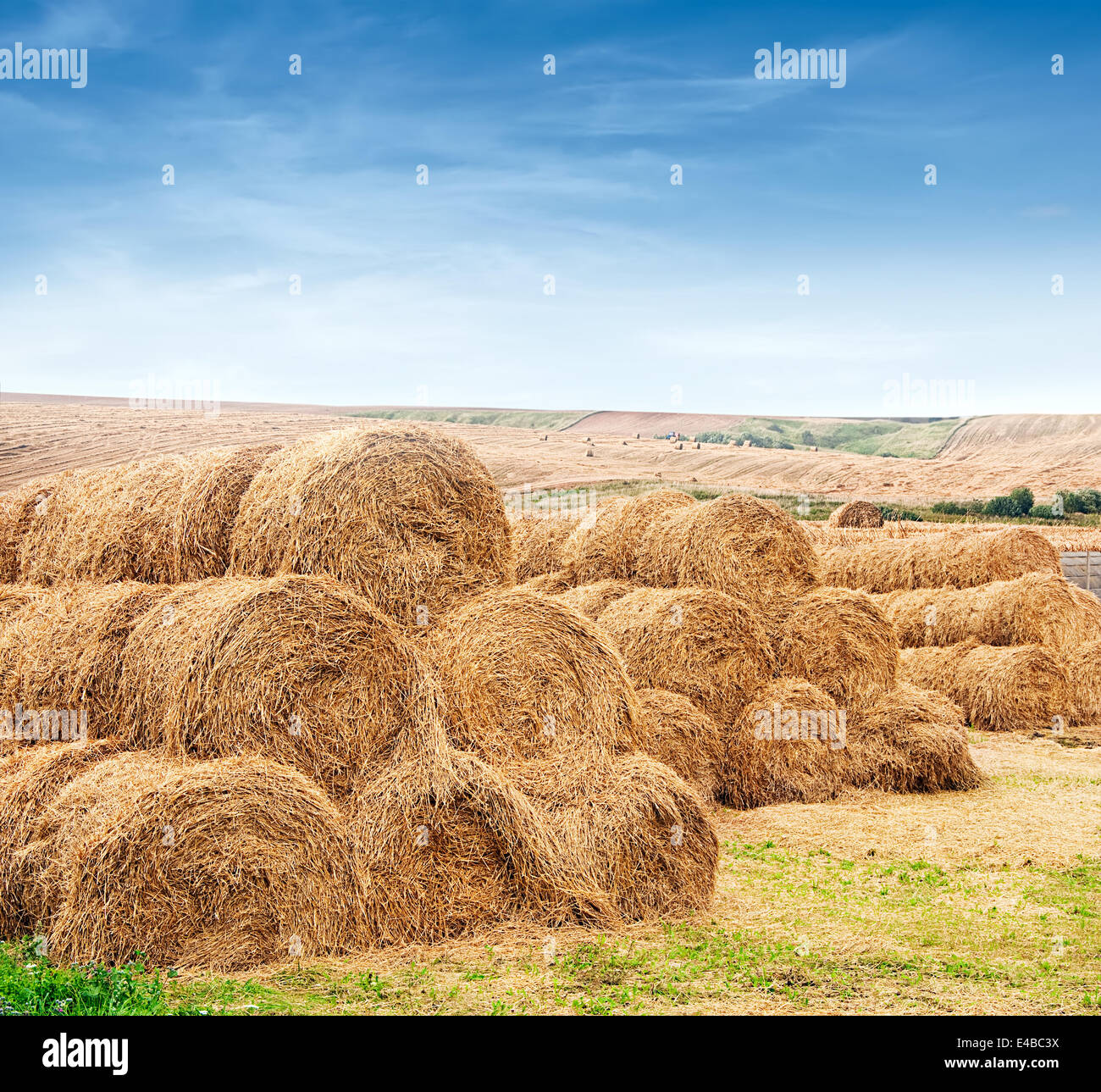 farm field with gathered crops Stock Photo - Alamy