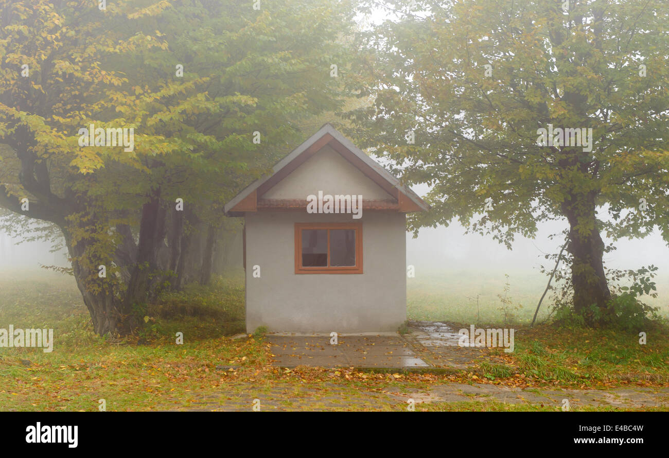 Small house in foggy forest Stock Photo - Alamy