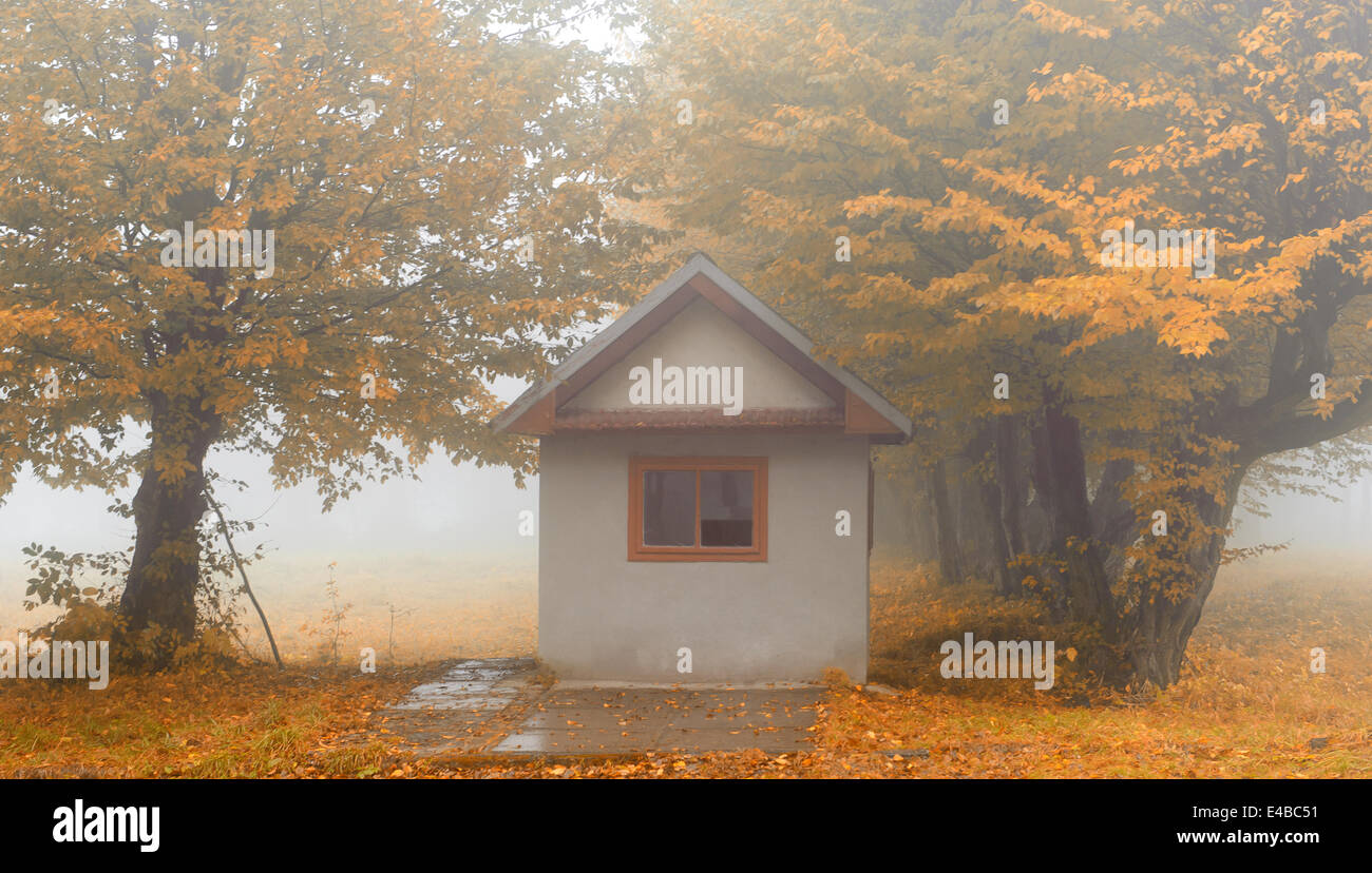 Small house in foggy forest Stock Photo - Alamy