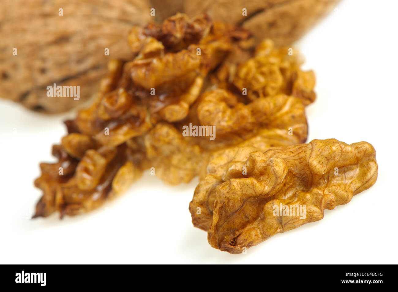 Kernel walnut hi-res stock photography and images - Alamy