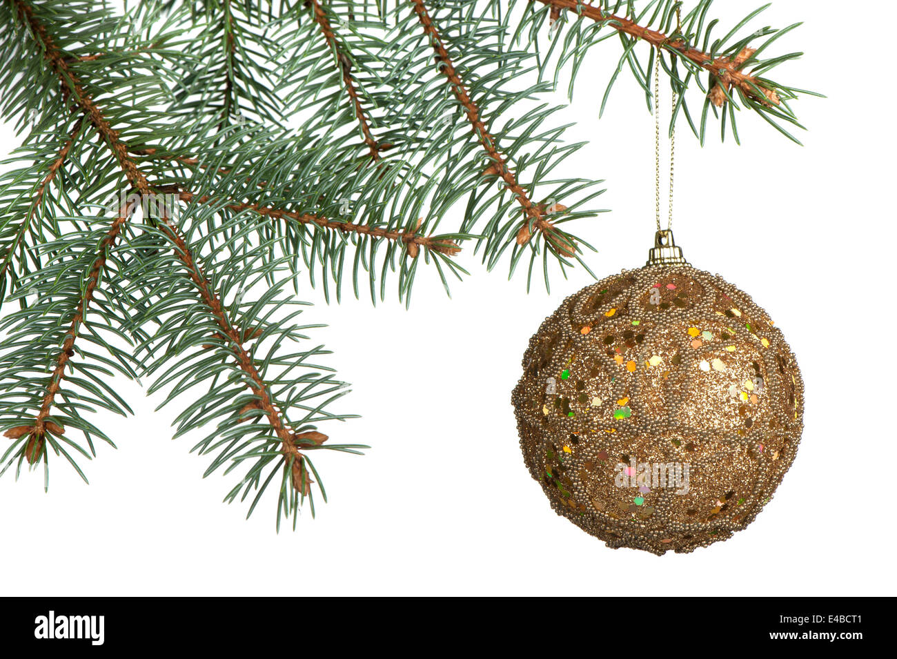 fur tree branch with toy isolated 1.jpg Stock Photo - Alamy