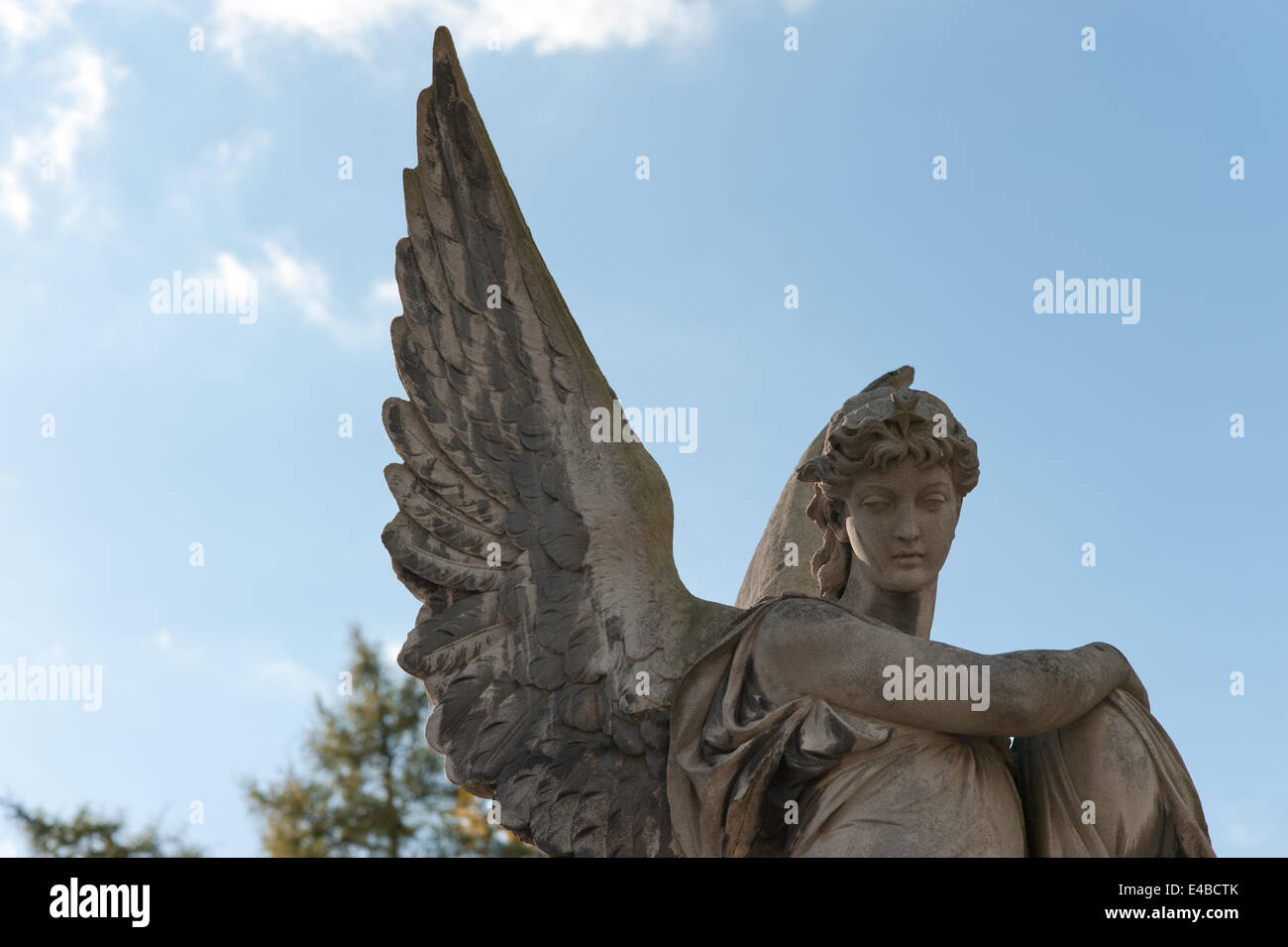 Monument to an angel on a cemetery Stock Photo - Alamy