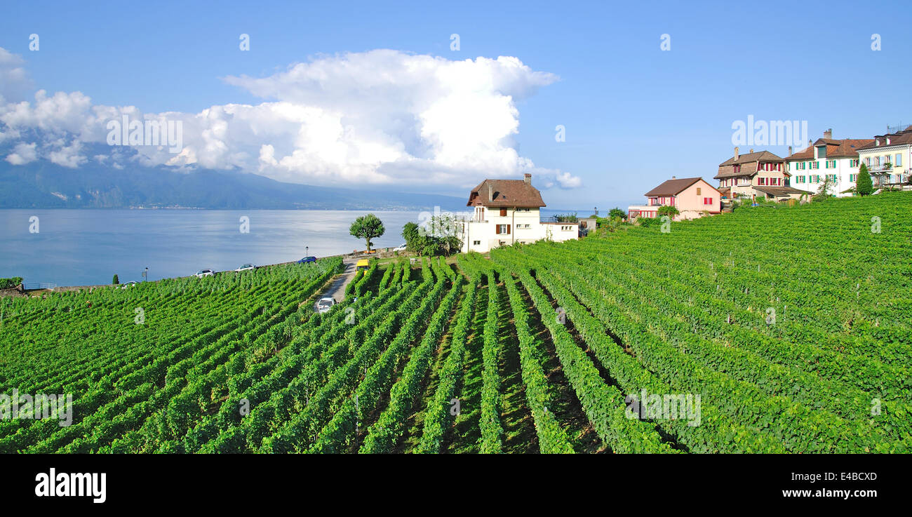 Cully hi-res stock photography and images - Alamy