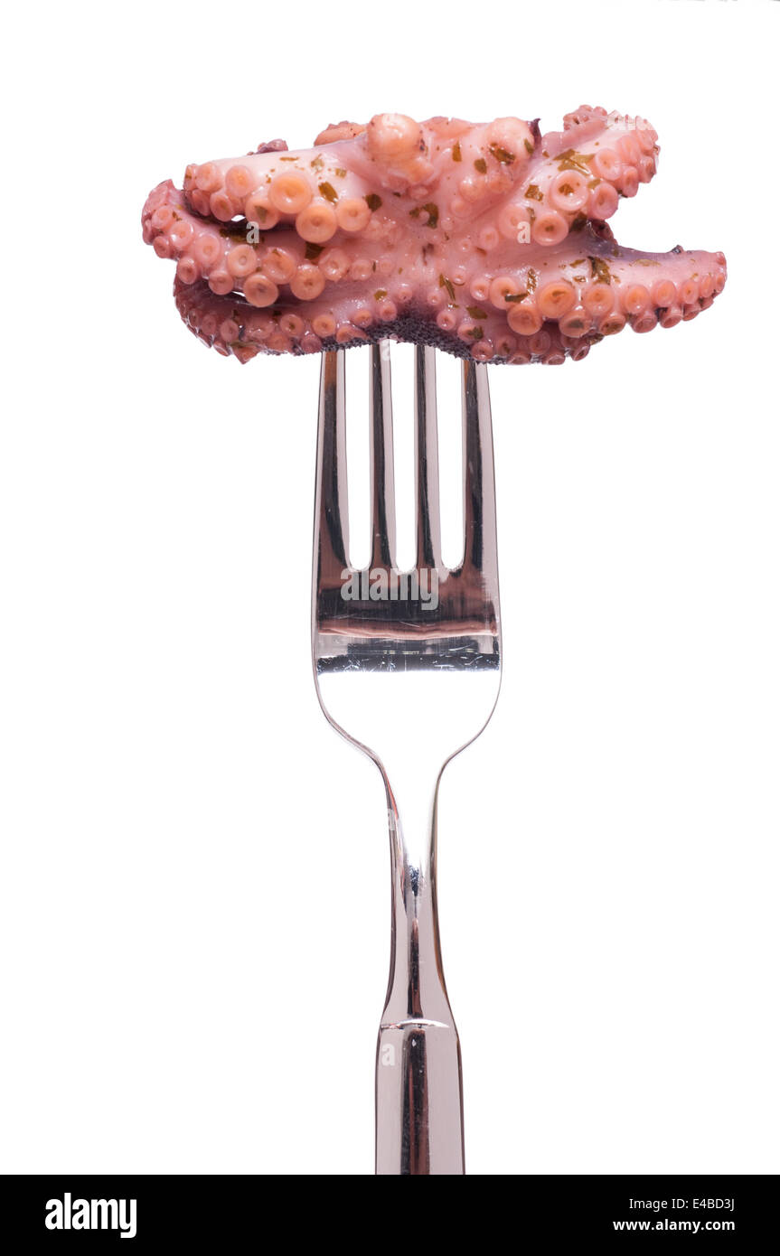 Octopus on a fork hi-res stock photography and images - Alamy