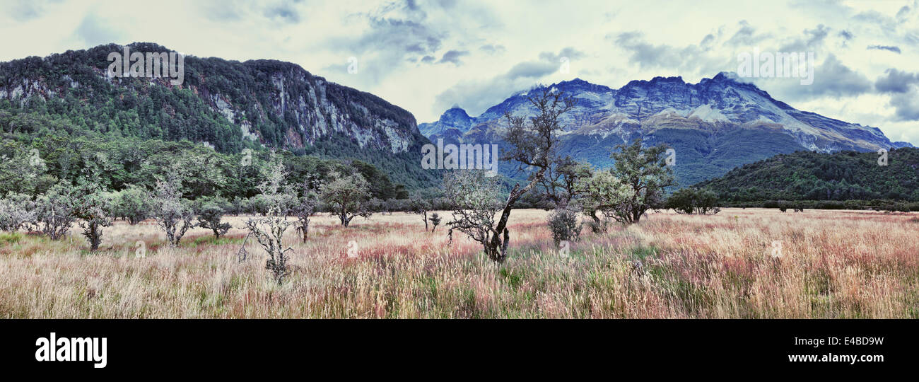 Spooky landscape hi-res stock photography and images - Alamy