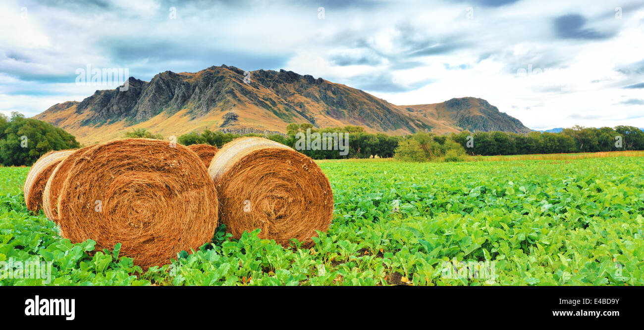 Rural agricultural lanscape hi-res stock photography and images - Alamy