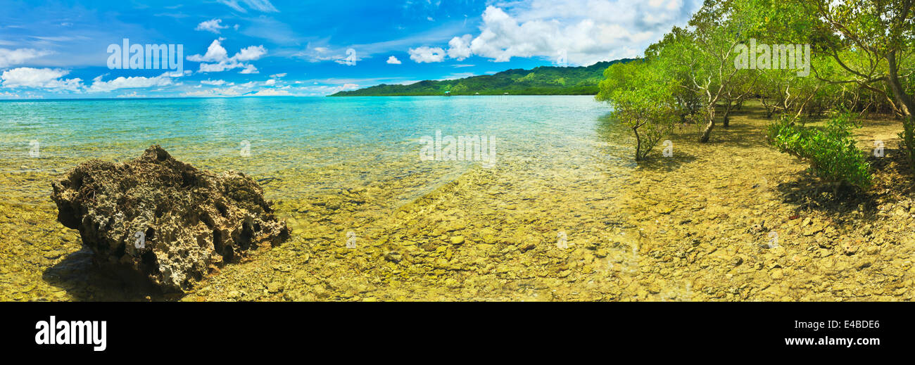Bohol island mangroves hi-res stock photography and images - Alamy