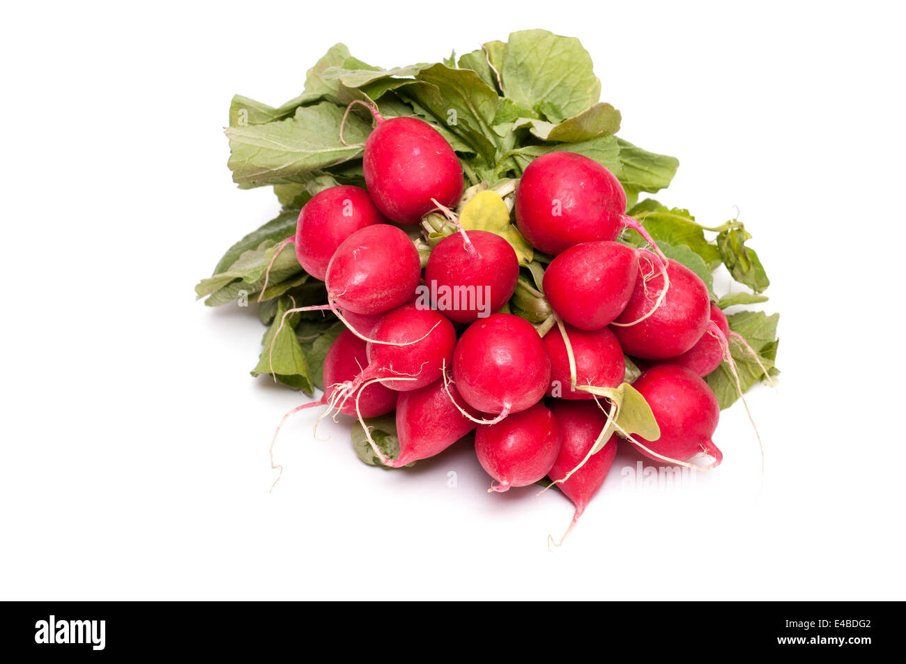 Bunch of red radishes Stock Photo - Alamy