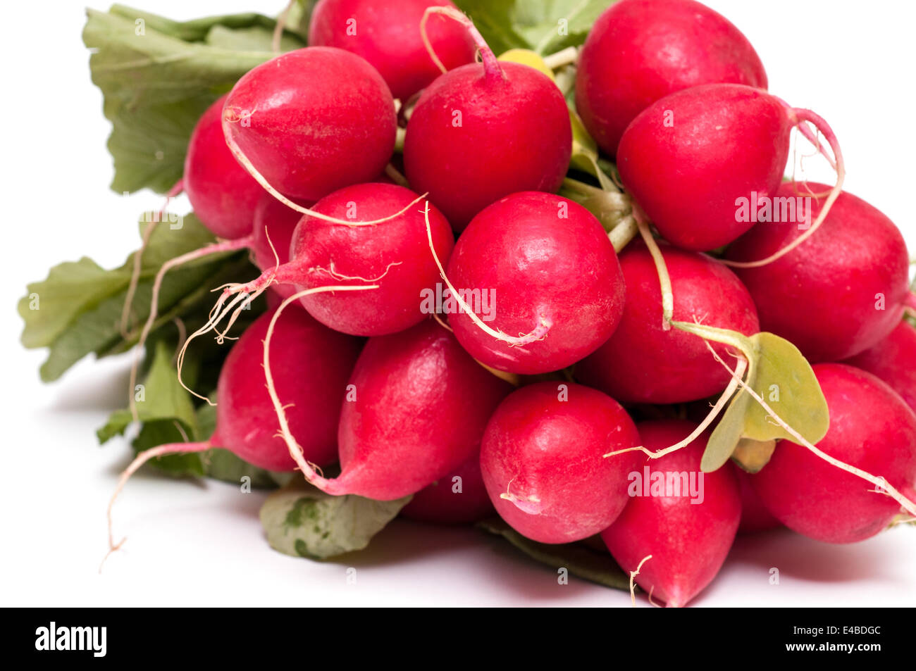 Closeup red radishes Stock Photo - Alamy