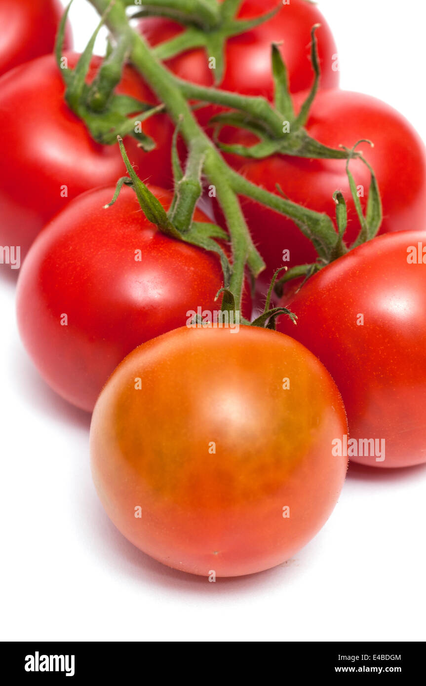 Closeup of a truss of tomatoes Stock Photo - Alamy