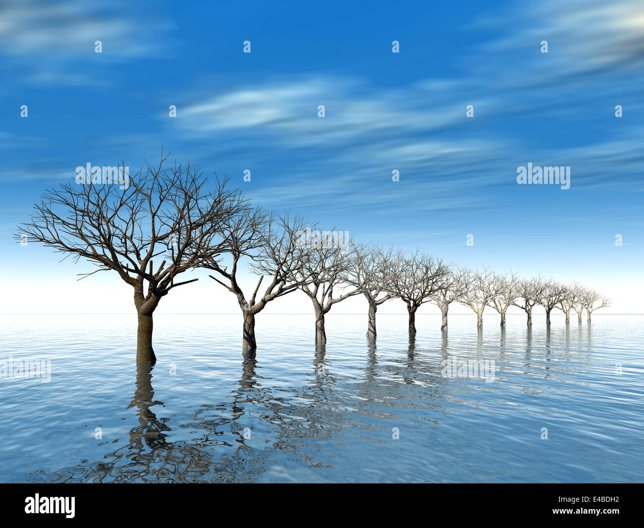 trees in surroundings water Stock Photo - Alamy
