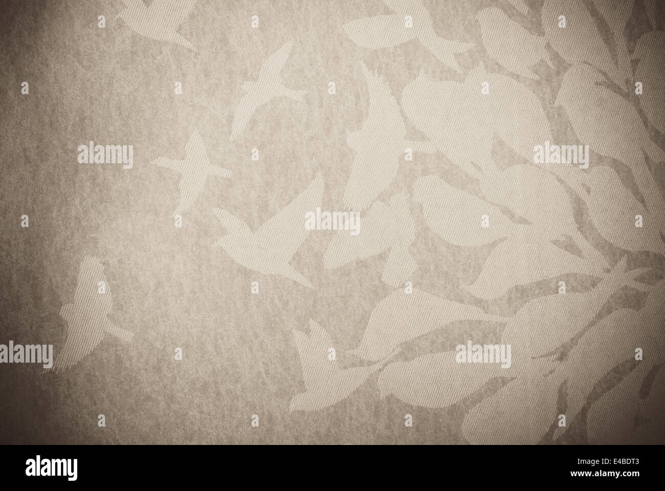 Abstract bird background hi-res stock photography and images - Alamy