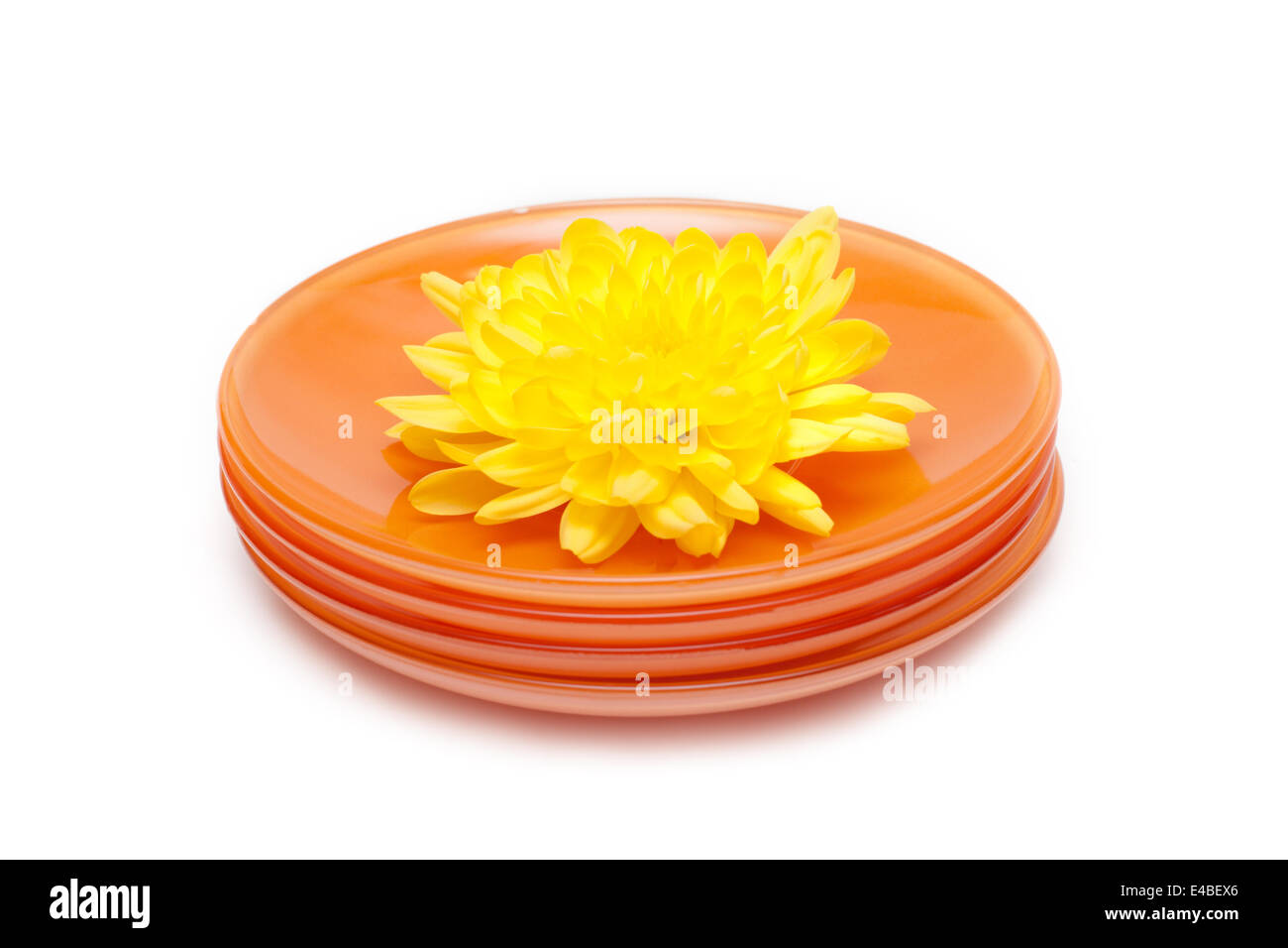 Single plates Cut Out Stock Images & Pictures - Alamy