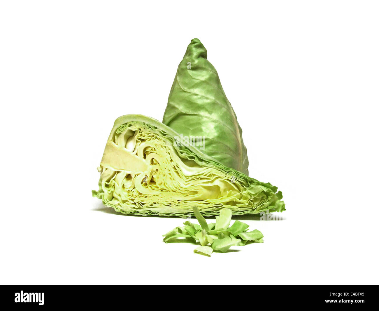 pointed cabbage (Brassica oleracea Stock Photo - Alamy