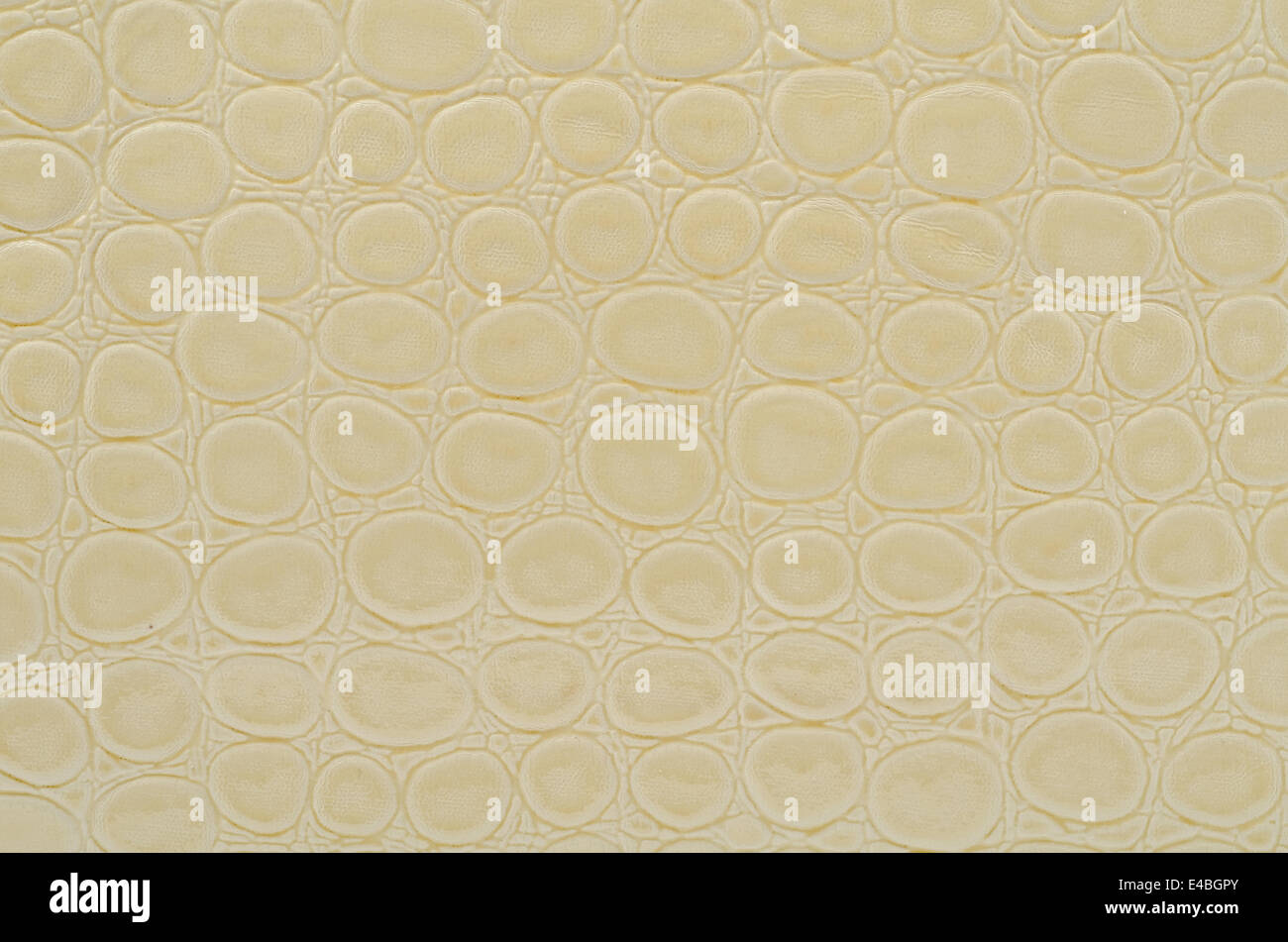 Snake skin patterns hi-res stock photography and images - Alamy