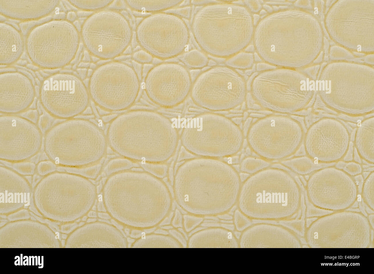 Snakeskin patterns hi-res stock photography and images - Alamy