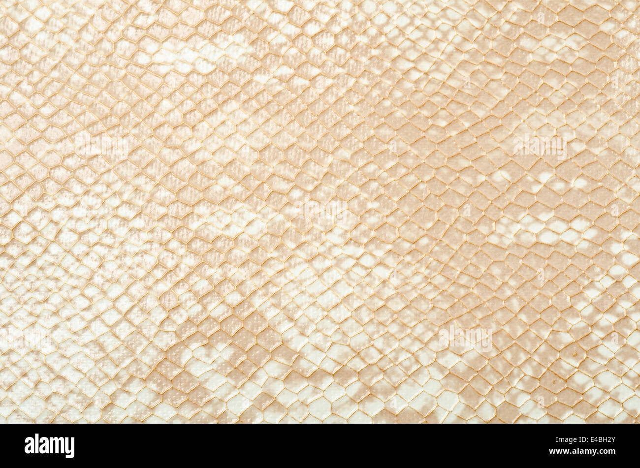 Snake skin patterns hi-res stock photography and images - Alamy