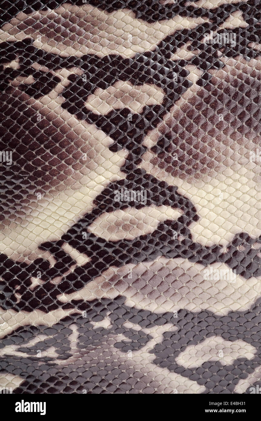 Snakeskin hi-res stock photography and images - Alamy