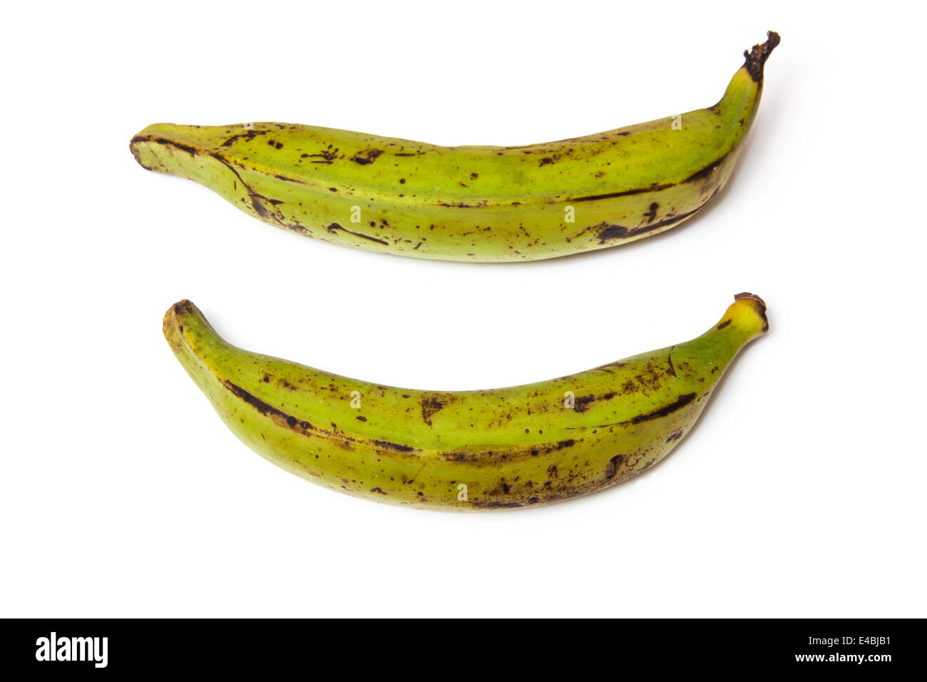 Plantain Bananas