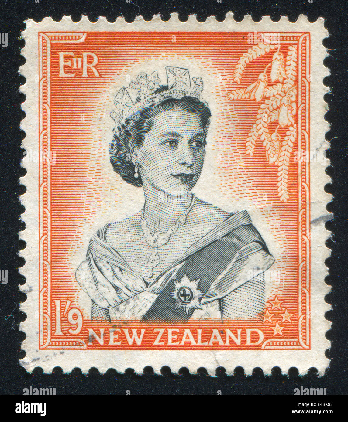 Elizabeth seal new zealand hi-res stock photography and images - Alamy