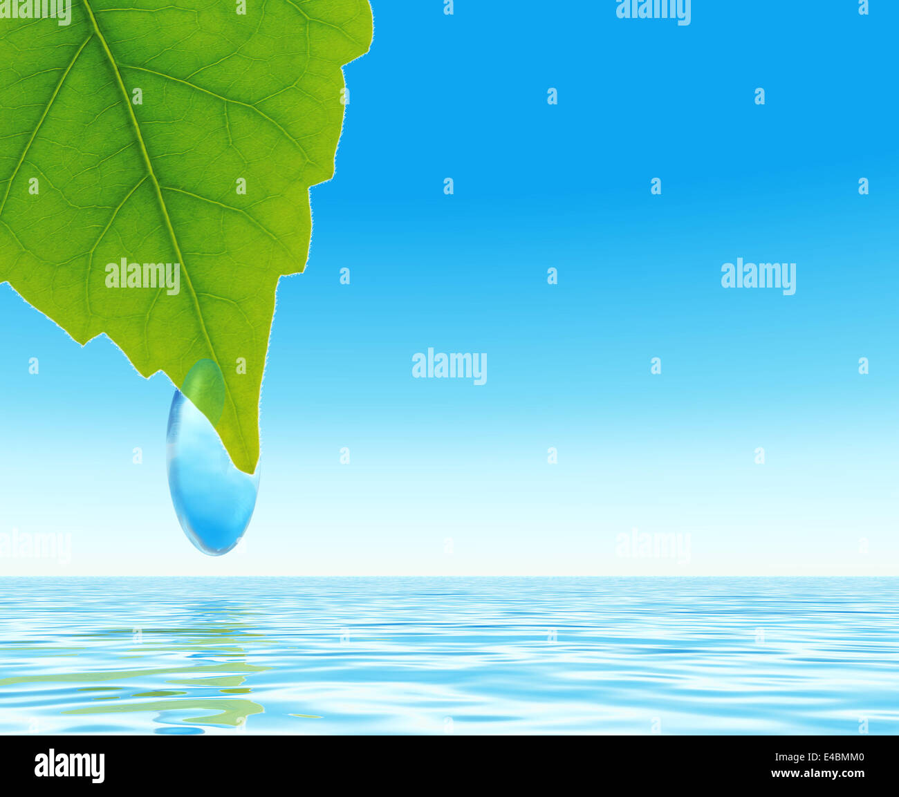 brightly green leaf Stock Photo - Alamy