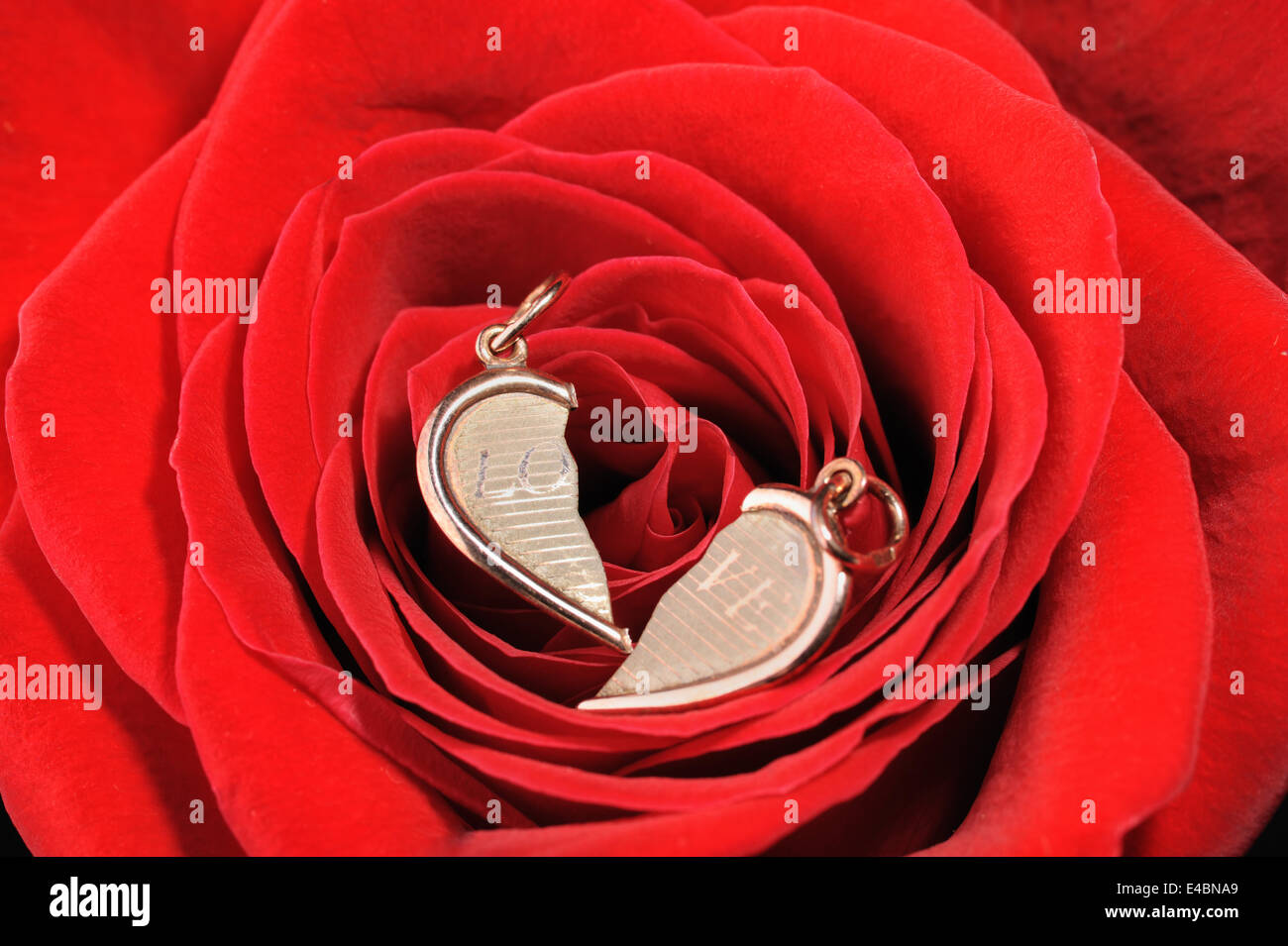 Broken Hearts With Roses