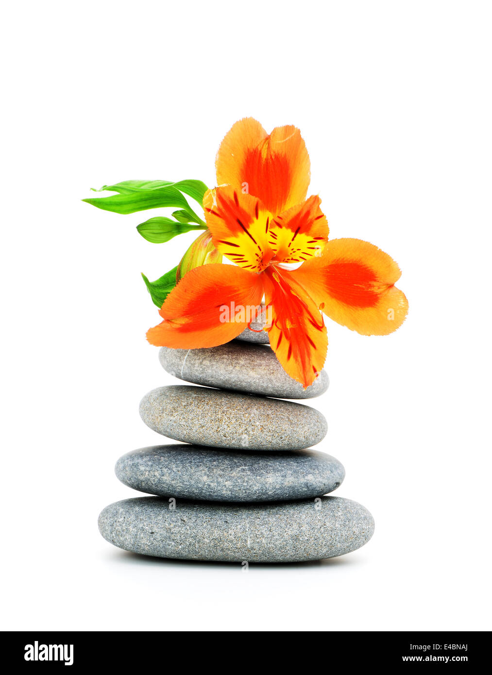 Lily flower and pebble Stock Photo - Alamy