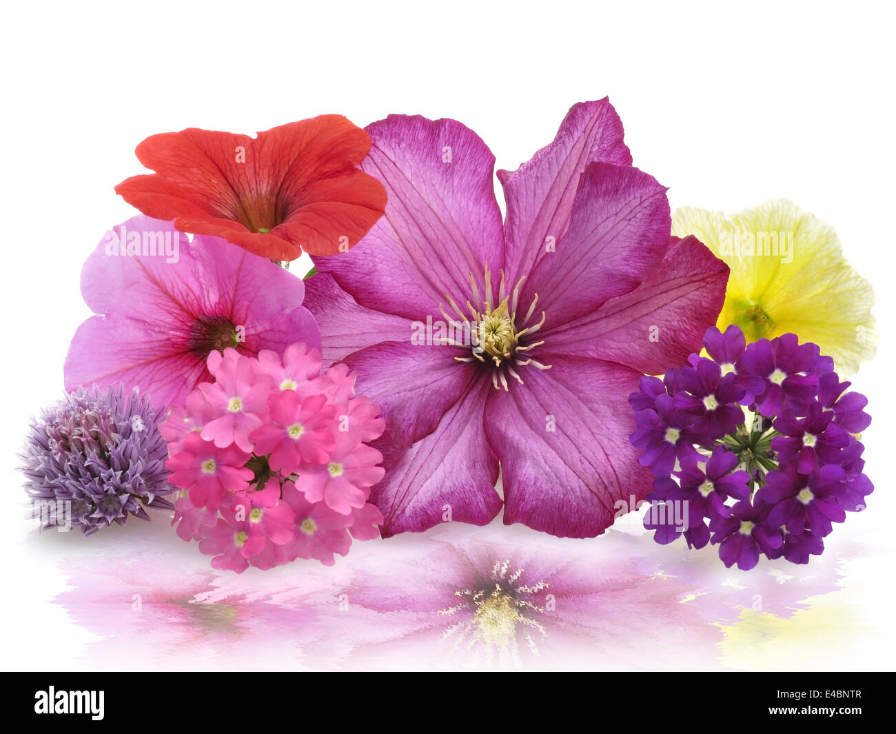 Reflection of flowers Cut Out Stock Images & Pictures - Alamy