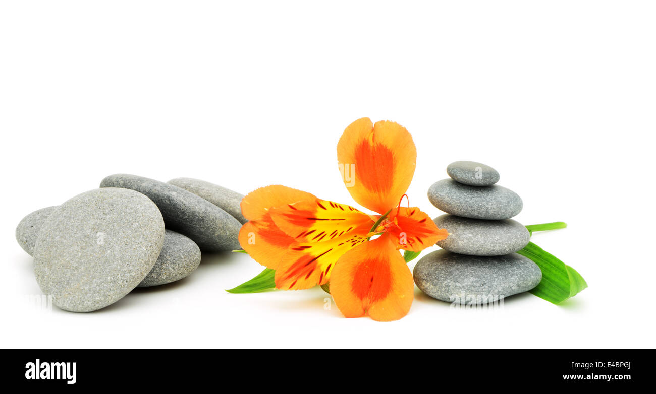 Lily flower and pebble Stock Photo - Alamy