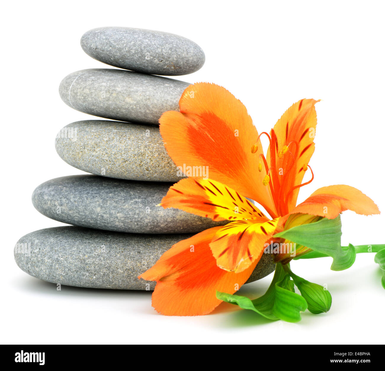 Lily flower and pebble Stock Photo - Alamy