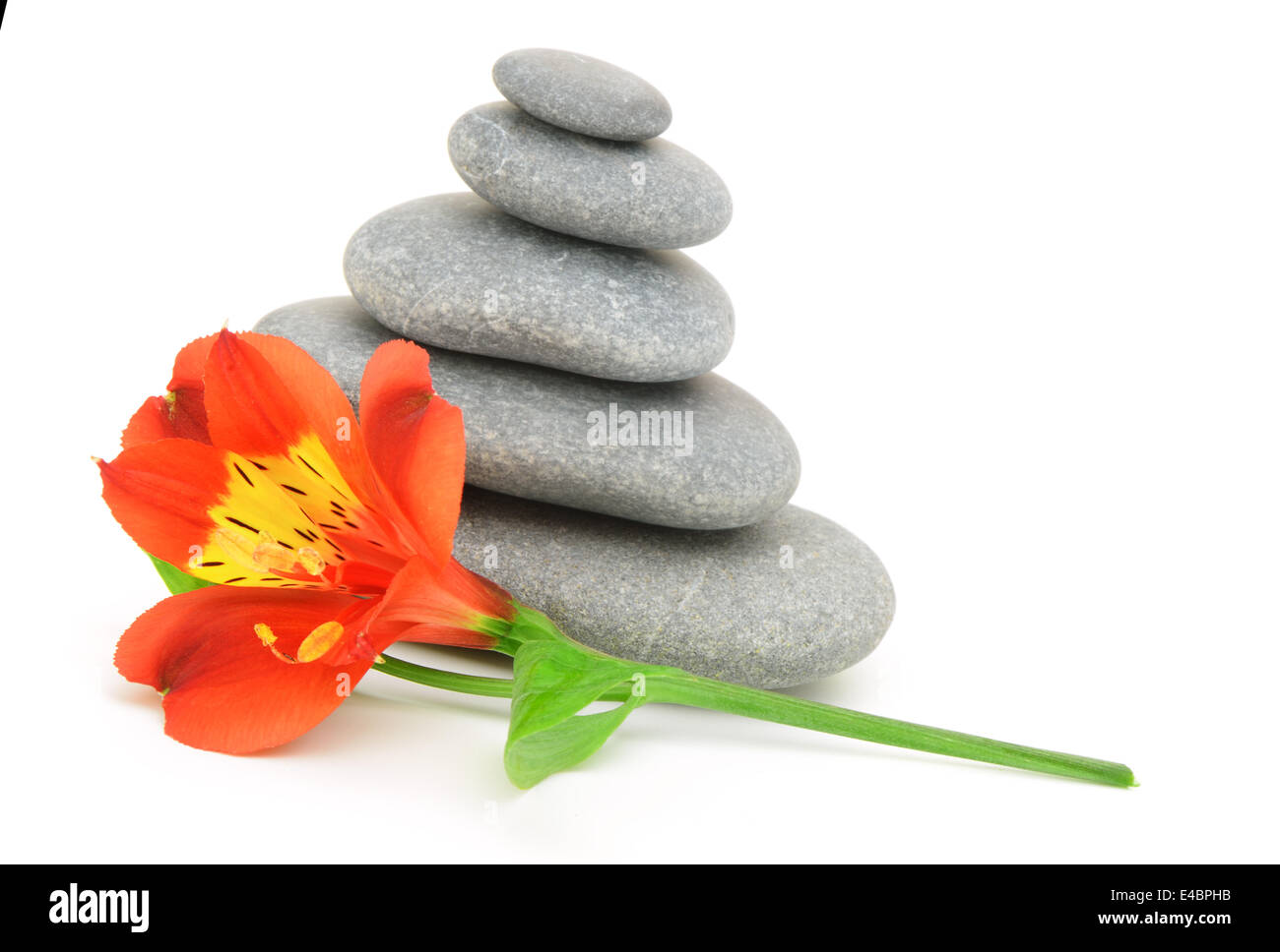 Lily flower and pebble Stock Photo - Alamy