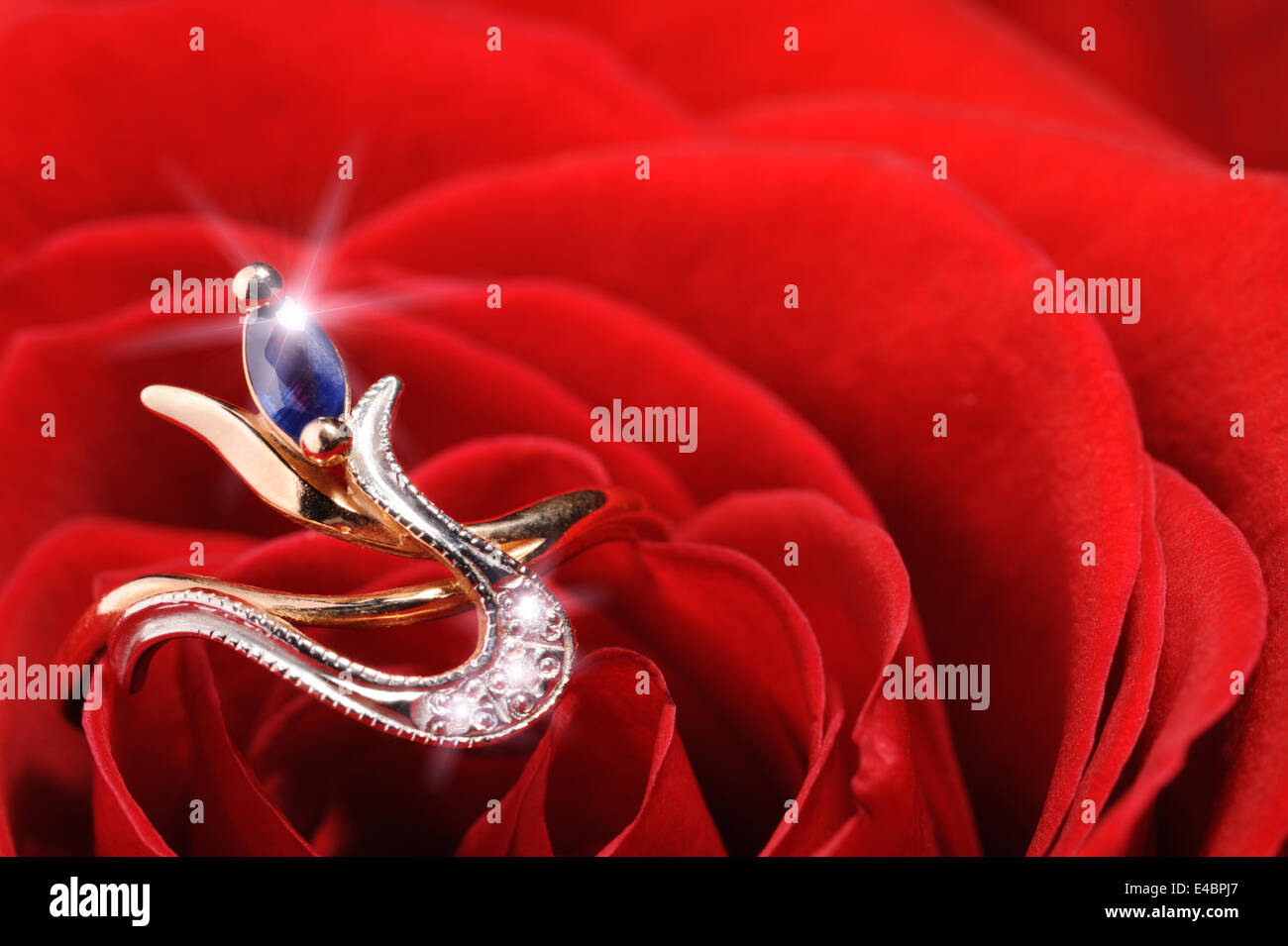 sparkle ring in a red rose Stock Photo - Alamy