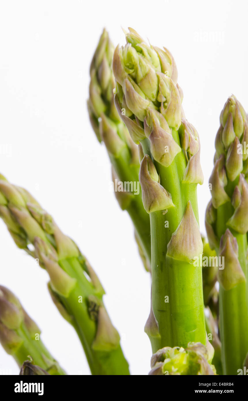 Spargel hi-res stock photography and images - Alamy