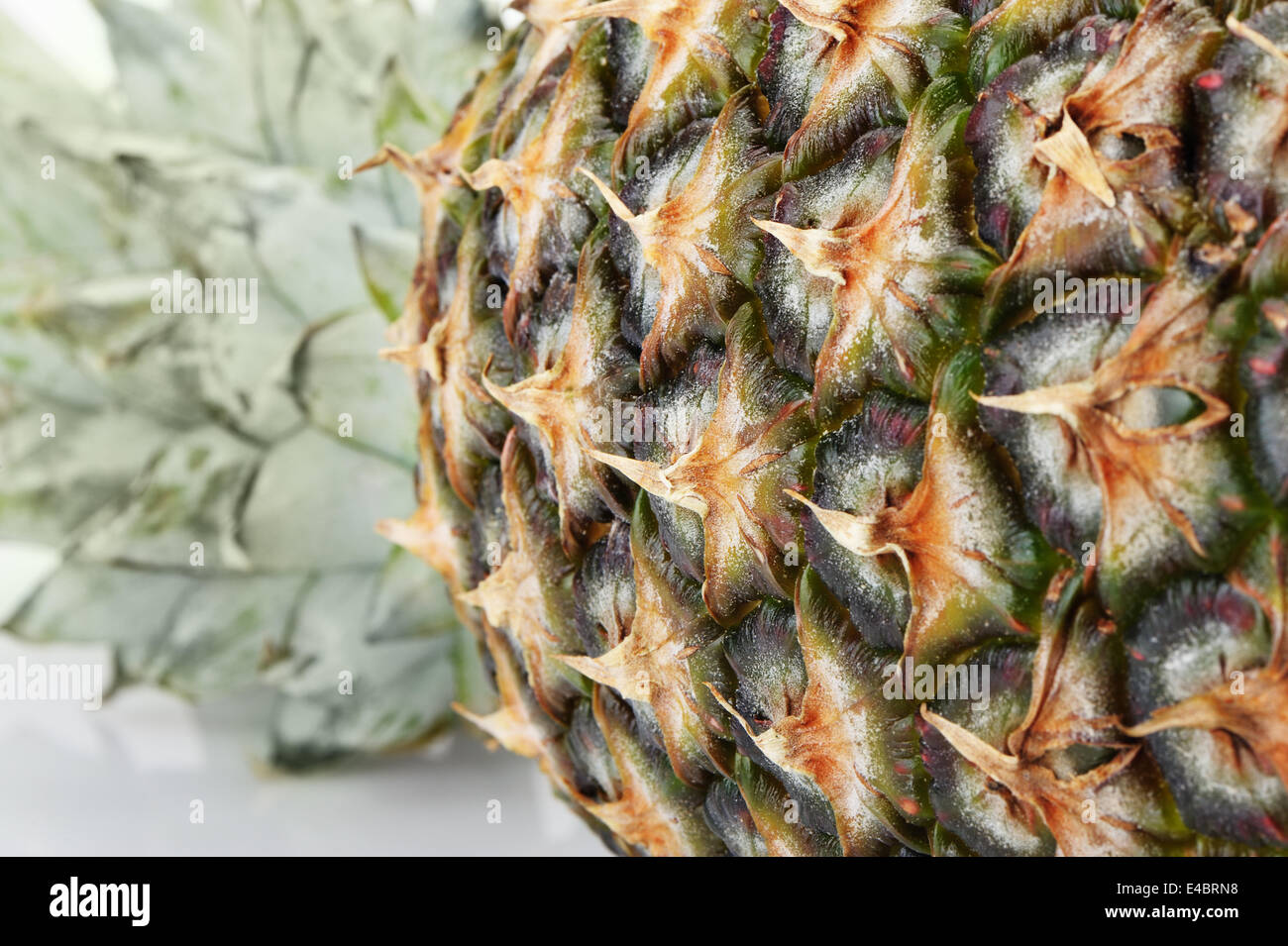 Pineapple detailed hi-res stock photography and images - Alamy