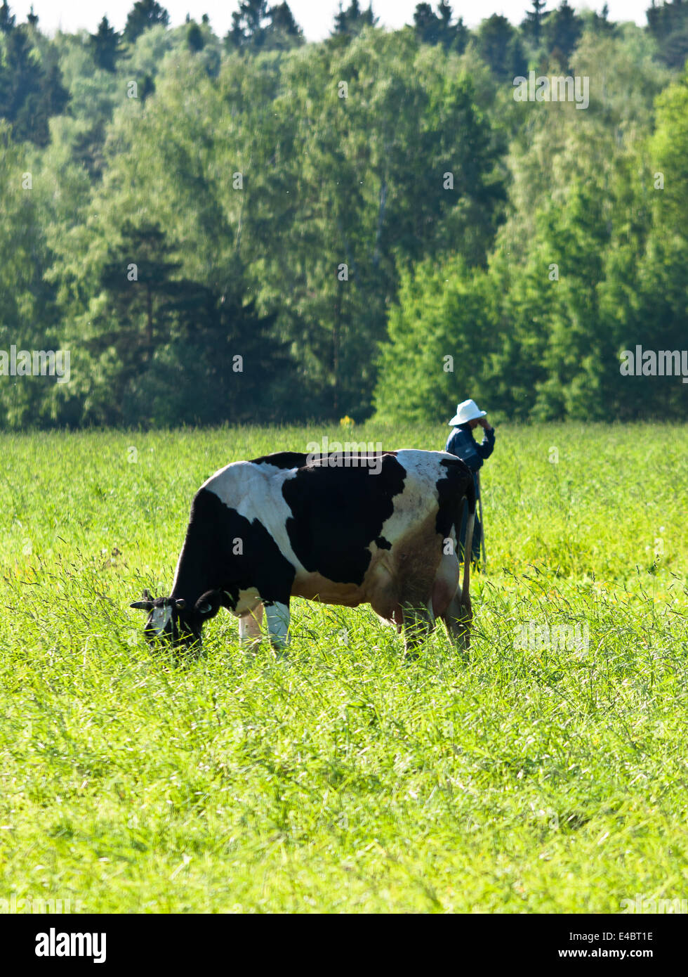 Head grazes hi-res stock photography and images - Alamy