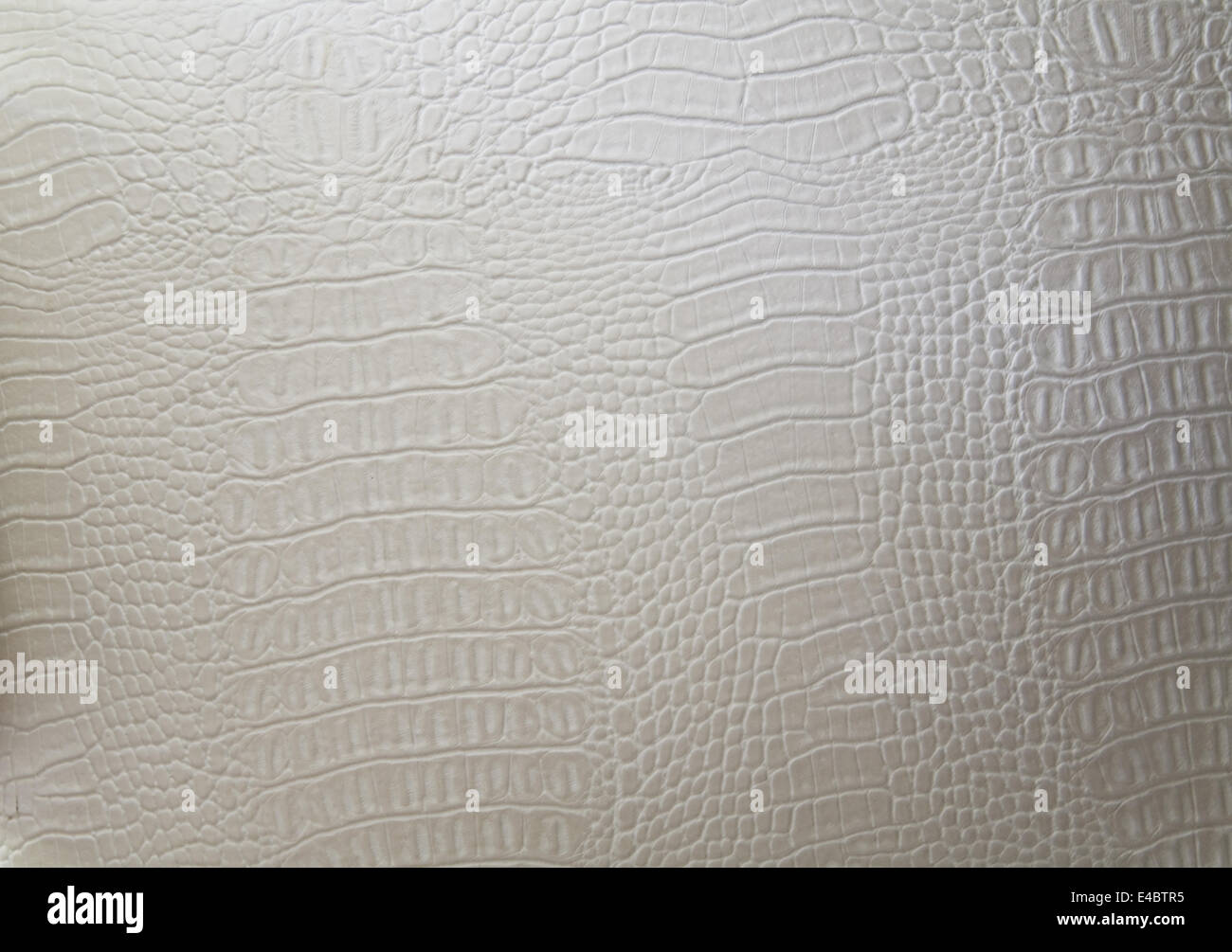 texture of a genuine luxury white hide Stock Photo - Alamy