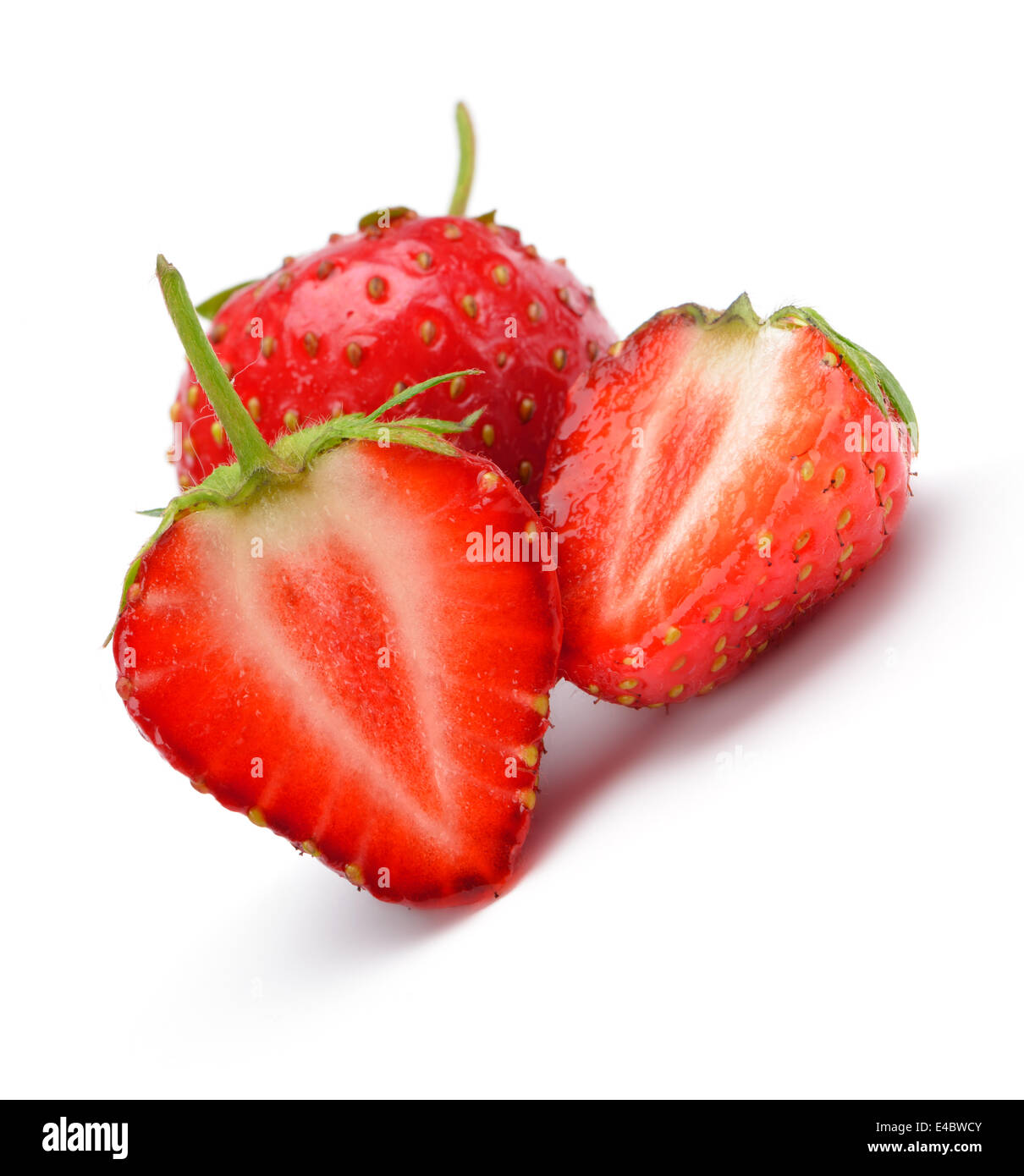 Cross section detailed view Cut Out Stock Images & Pictures - Alamy