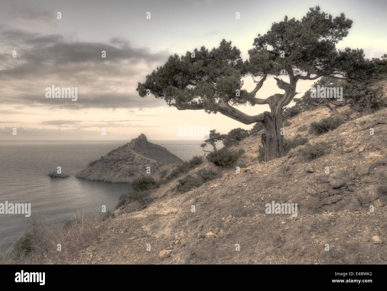 The sea tree and mountains Stock Photo - Alamy