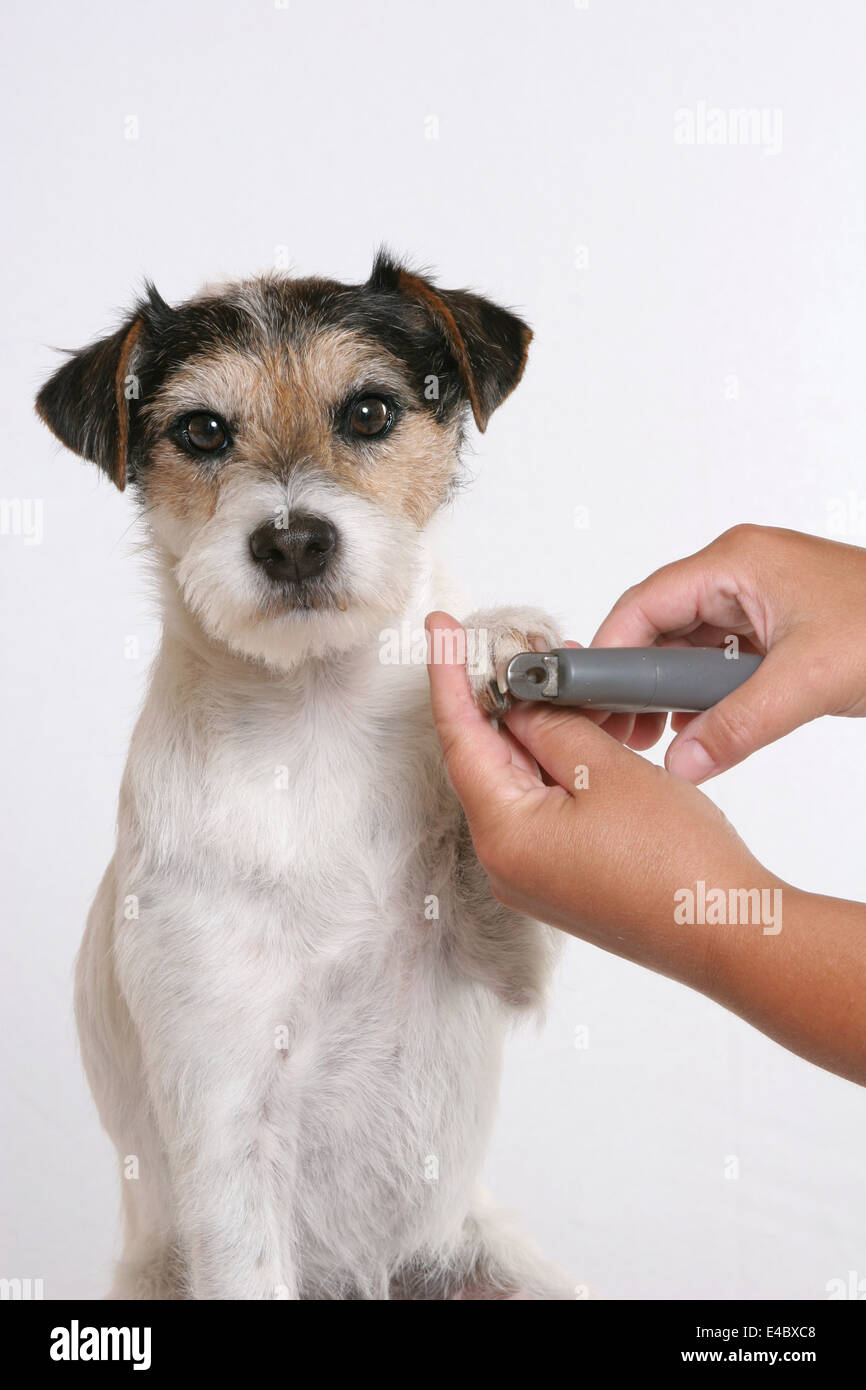 Clipper jack hi-res stock photography and images - Alamy