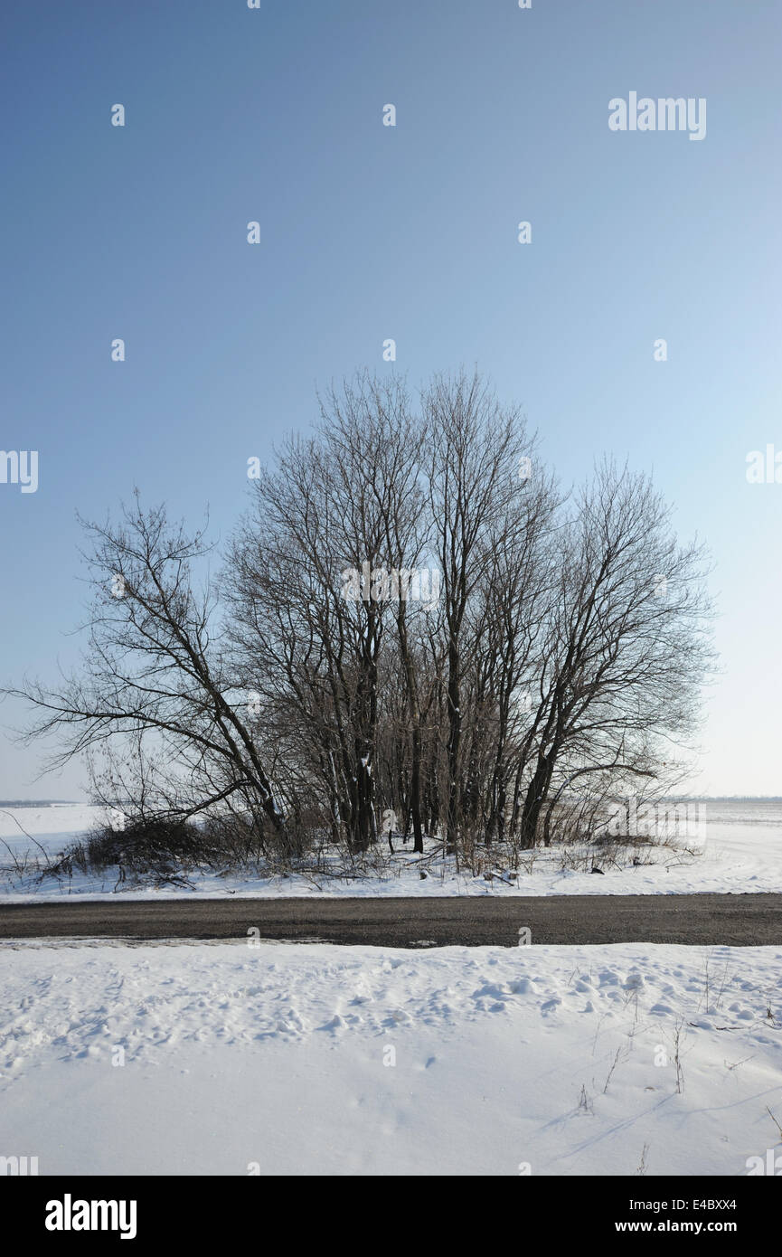 Dry lightning hi-res stock photography and images - Alamy