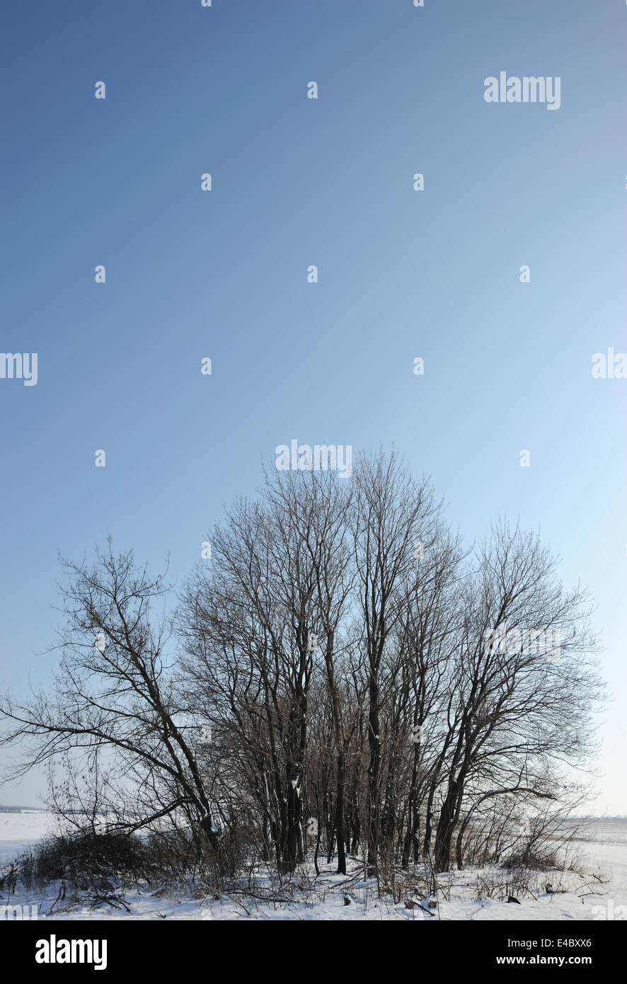 Dry lightning hi-res stock photography and images - Alamy