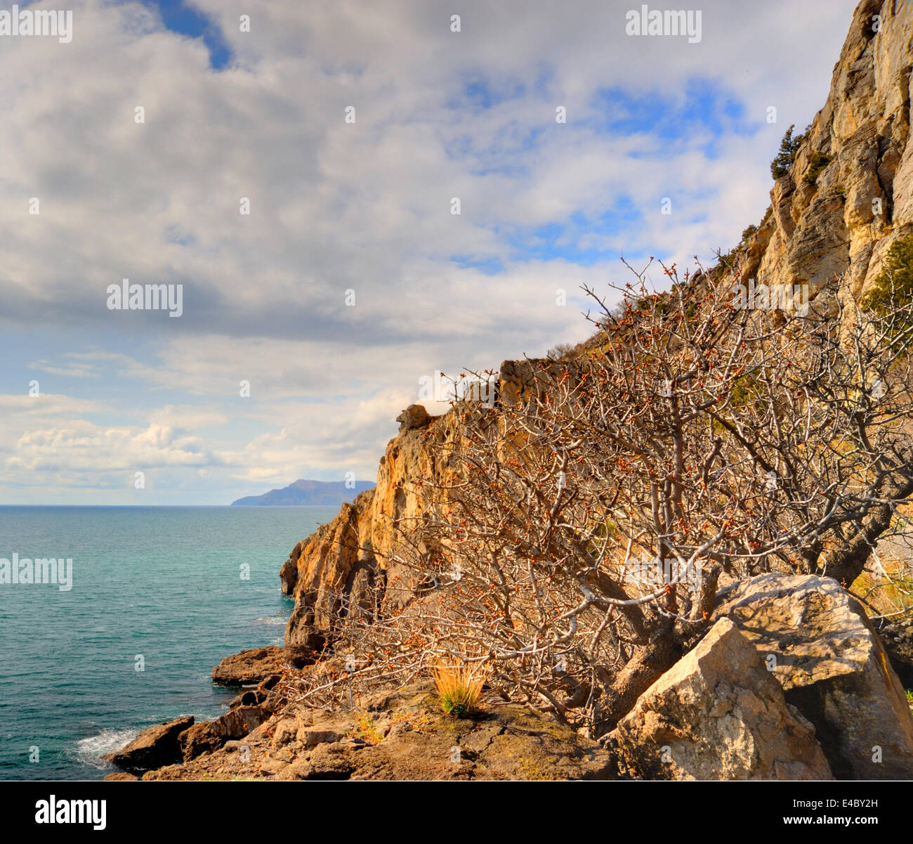 Coastline and mountains hi-res stock photography and images - Alamy